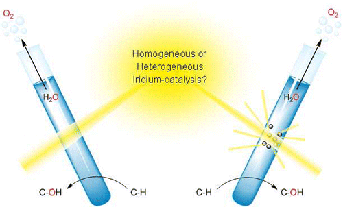 Particle Formation during Oxidation Catalysis with Cp* Iridium ...