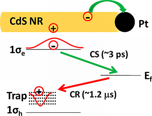 Ultrafast Charge Separation and Long-Lived Charge Separated State in ...