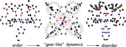 Structural Insights into Ligand Dynamics: Correlated Oxygen and Picket ...