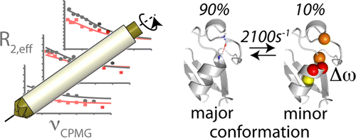 Site-Resolved Measurement of Microsecond-to-Millisecond Conformational ...