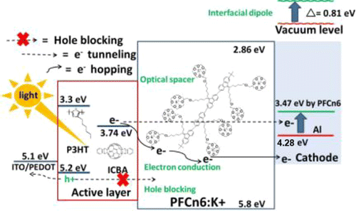 Multiple Functionalities of Polyfluorene Grafted with Metal Ion ...