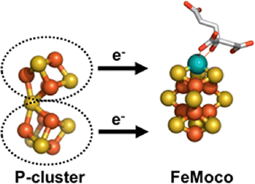 P+State of Nitrogenase P-Cluster Exhibits Electronic Structure of a ...