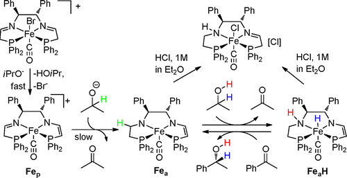 含(S,S)-Ph2PCH2CH=NCHPhCHPhN=CHCH2PPh2配体的铁(II)配合物对苯乙酮有效不对称转移氢化的机理：部分配体还原 ...