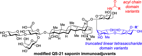 QS-21 变体的合成和临床前评估导致简化的疫苗佐剂和机械探针,Journal of the American Chemical Society - X-MOL