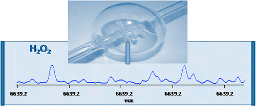 Quantification of Hydrogen Peroxide during the Low-Temperature ...