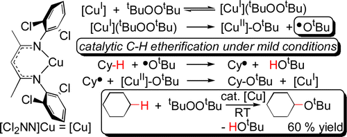 CuI 与二烷基过氧化物的反应：CuII-醇盐、烷氧基自由基和催化 C-H 醚化,Journal of the American ...