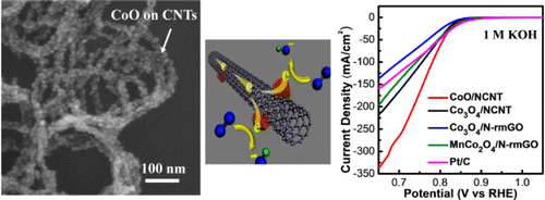 Oxygen Reduction Electrocatalyst Based on Strongly Coupled Cobalt Oxide ...