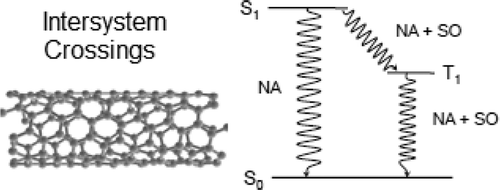 Ab Initio Time-Domain Study of the Triplet State in a Semiconducting Carbon Nanotube ...