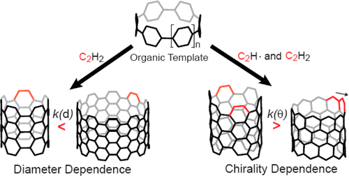 Single-walled Carbon Nanotube Growth from Chiral Carbon Nanorings ...