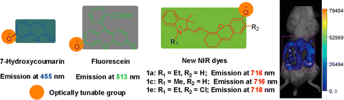 A Unique Approach to Development of Near-Infrared Fluorescent Sensors ...