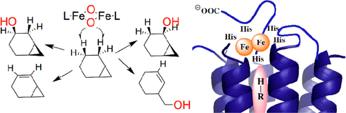 Parallel and Competitive Pathways for Substrate Desaturation ...