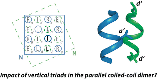 Strong Contributions from Vertical Triads to Helix-Partner Preferences ...