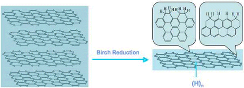 Birch Reduction of Graphite. Edge and Interior Functionalization by ...