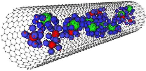 Significant Hydration Shell Formation Instead of Hydrogen Bonds in ...