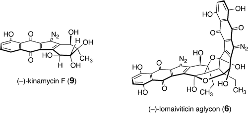 (−)-Kinamycin F 和 (−)-Lomaiviticin Agonon 的对映选择性合成路线的开发,Journal of the ...