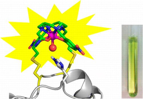 A pH-Sensitive, Colorful, Lanthanide-Chelating Paramagnetic NMR Probe ...