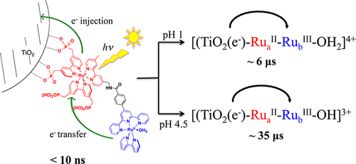 固定在 TiO2 上的发色团-催化剂组件中的光致电子转移,Journal of the American Chemical Society ...