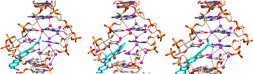 Small-molecule Binding to the DNA Minor Groove Is Mediated by a ...