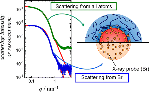 Hydrophobic Molecules Infiltrating into the Poly(ethylene glycol ...