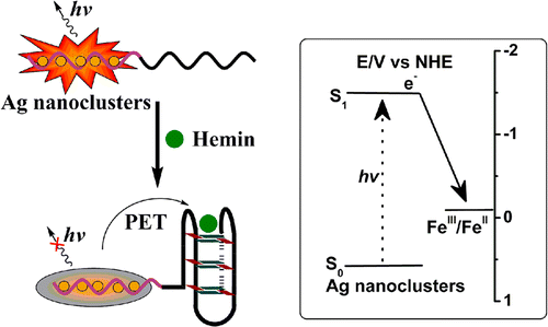 Photoinduced Electron Transfer of DNA/Ag Nanoclusters Modulated by G ...