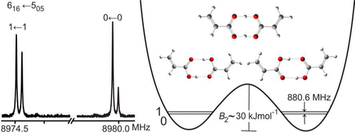 Proton Transfer in Homodimers of Carboxylic Acids: The Rotational ...