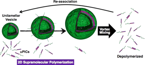 Living Unimodal Growth of Polyion Complex Vesicles via Two-Dimensional ...