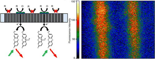 Fluorescence Coupling for Direct Imaging of Electrocatalytic ...
