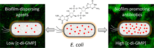 Visualizing the Perturbation of Cellular Cyclic di-GMP Levels in ...