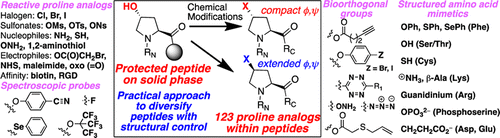 Proline Editing: A General and Practical Approach to the Synthesis of ...