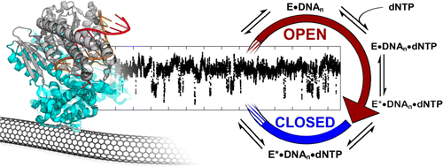 Electronic Measurements of Single-Molecule Processing by DNA Polymerase ...