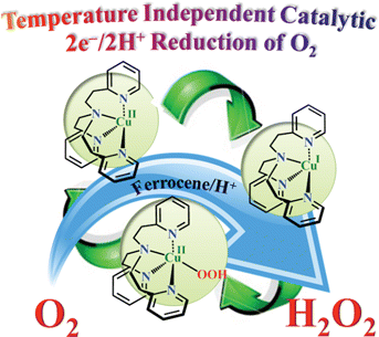 Temperature-Independent Catalytic Two-Electron Reduction of Dioxygen by ...