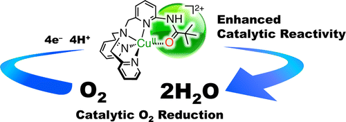 Enhanced Catalytic Four-Electron Dioxygen (O2) and Two-Electron ...