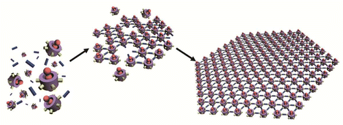 Free-Standing, Single-Monomer-Thick Two-Dimensional Polymers through ...