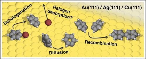 Mechanisms of Halogen-Based Covalent Self-Assembly on Metal Surfaces ...