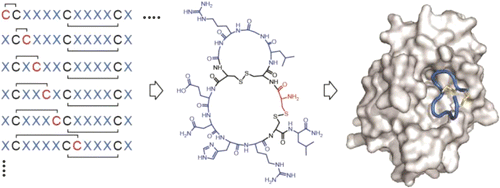 Bicyclic Peptide Ligands Pulled out of Cysteine-Rich Peptide Libraries ...