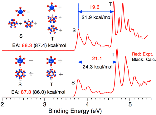 Negative Ion Photoelectron Spectroscopy Confirms the Prediction that ...