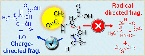 Competition of Charge- versus Radical-Directed Fragmentation of Gas ...