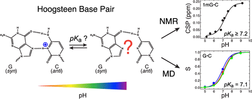 Characterizing the Protonation State of Cytosine in Transient G·C ...