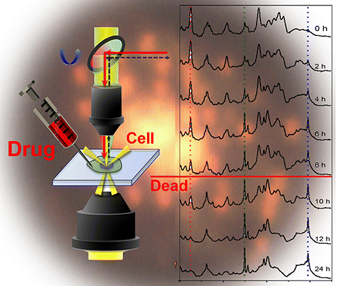 A New Nanotechnology Technique for Determining Drug Efficacy Using ...