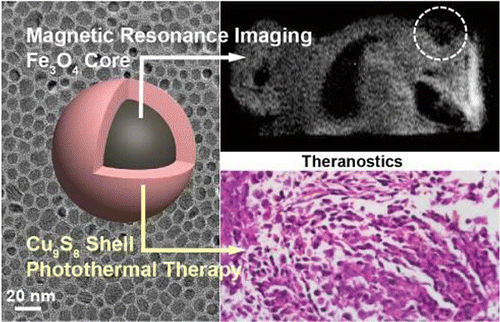 Sub-10 nm Fe3O4@Cu2–xS Core–Shell Nanoparticles for Dual-Modal Imaging ...