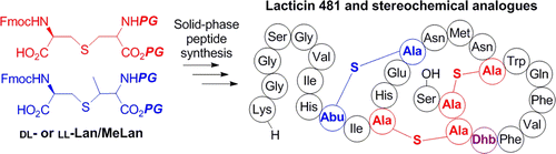 Chemical Synthesis of the Lantibiotic Lacticin 481 Reveals the ...