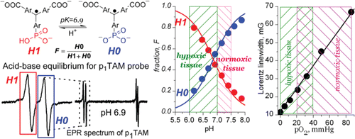 Phosphonated Trityl Probes for Concurrent in Vivo Tissue Oxygen and pH ...