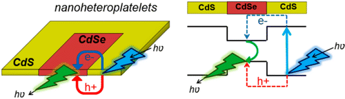 CdSe–CdS Nanoheteroplatelets with Efficient Photoexcitation of Central ...
