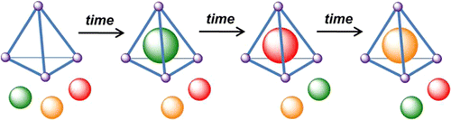 Quantitative Understanding of Guest Binding Enables the Design of ...