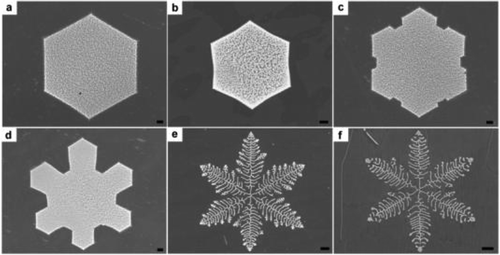 Fractal Etching of Graphene,Journal of the American Chemical Society ...