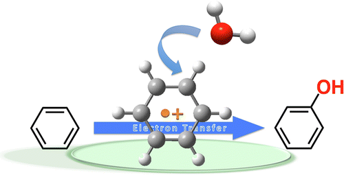 Visible-Light-Induced Oxygenation of Benzene by the Triplet Excited ...