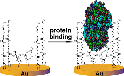 Creating Protein-Imprinted Self-Assembled Monolayers with Multiple ...