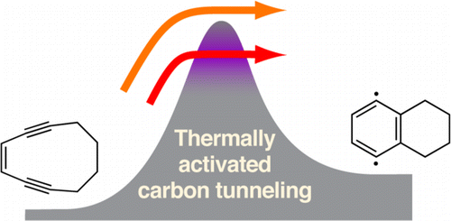 Computational Evidence for Heavy-Atom Tunneling in the Bergman ...
