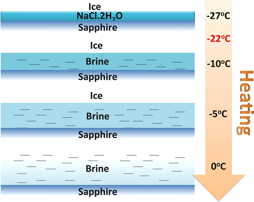 Freezing and Melting of Salt Hydrates Next to Solid Surfaces Probed by ...