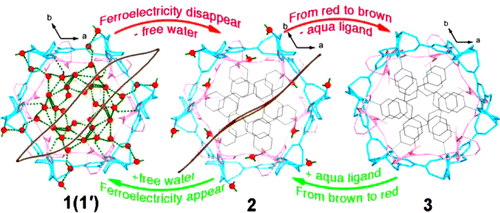 Ferroelectric Switchable Behavior through Fast Reversible De/adsorption ...